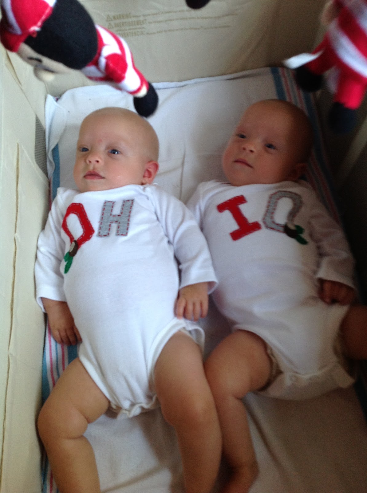 Itty-Bitty-Pretty Elliot, Addie & Charlie, and introducing LINCOLN ...