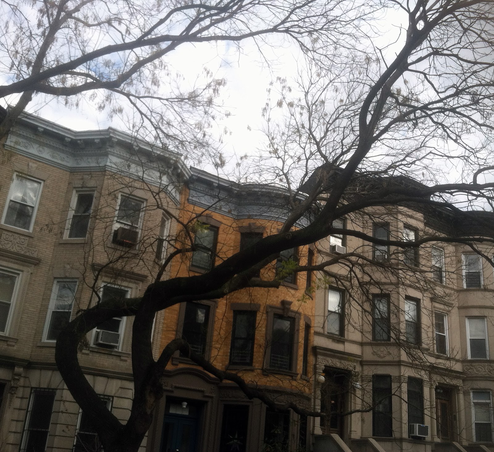 Illuminations: Around the Way: Branches and Buildings