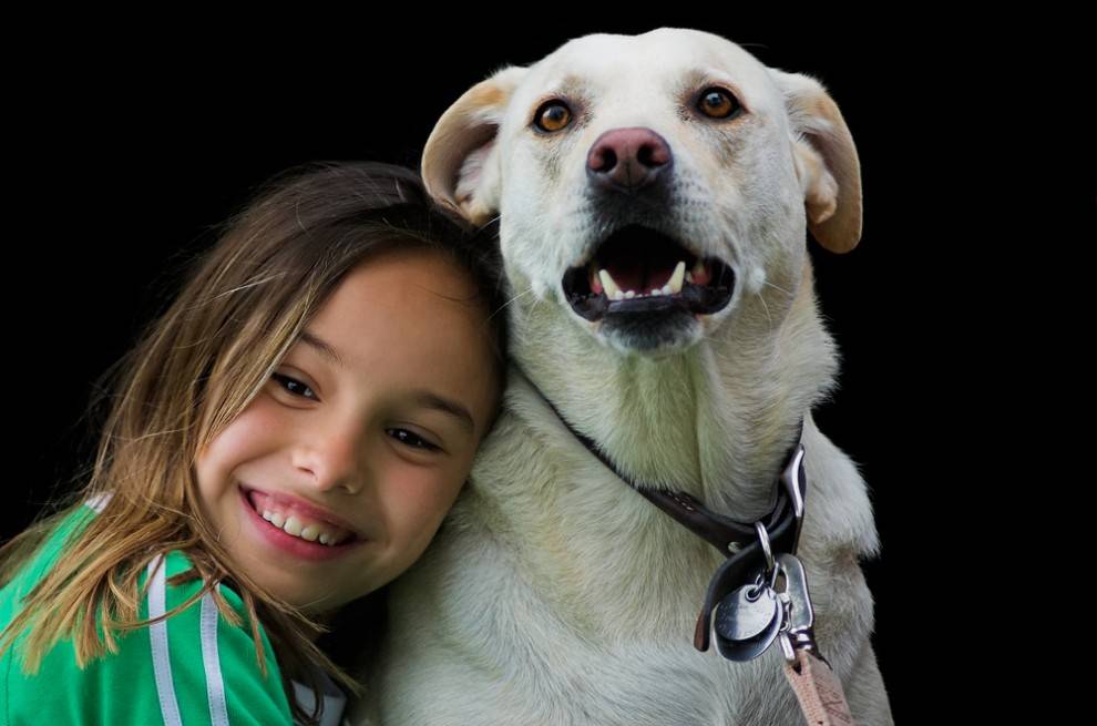 Zarpas Veterinaria: Que le hace feliz a su perro o gato?