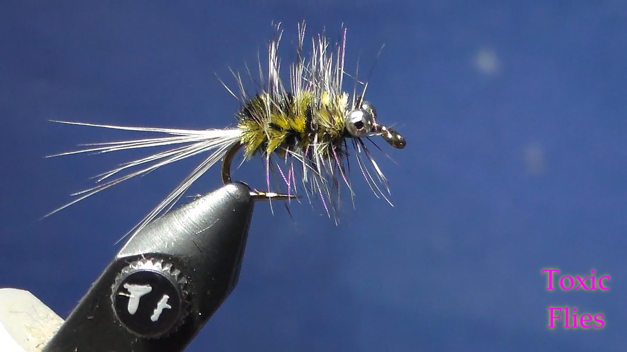 Fly Patterns: Bugeyed Bluegill Bug