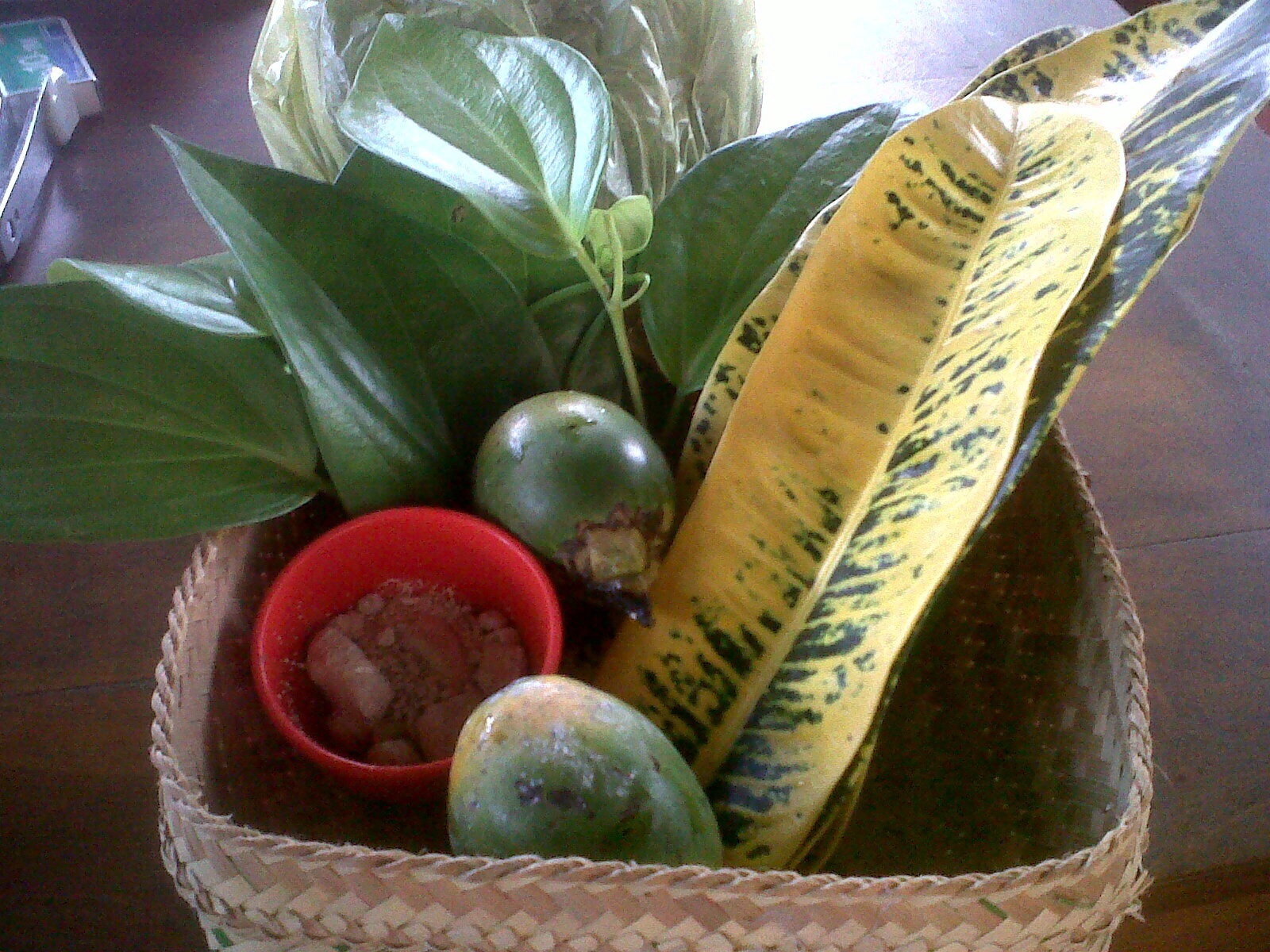 Makna Porosan dalam Hindu - Hindu Alukta