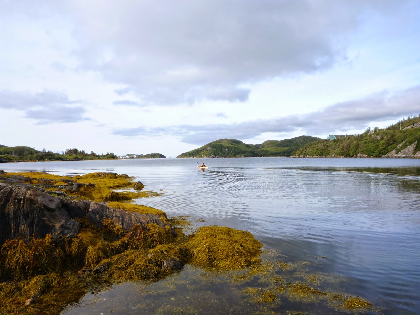 Newfoundland Sea Kayaking: Visit to the SW Coast
