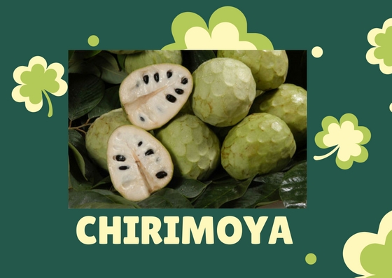 CHIRIMOYA