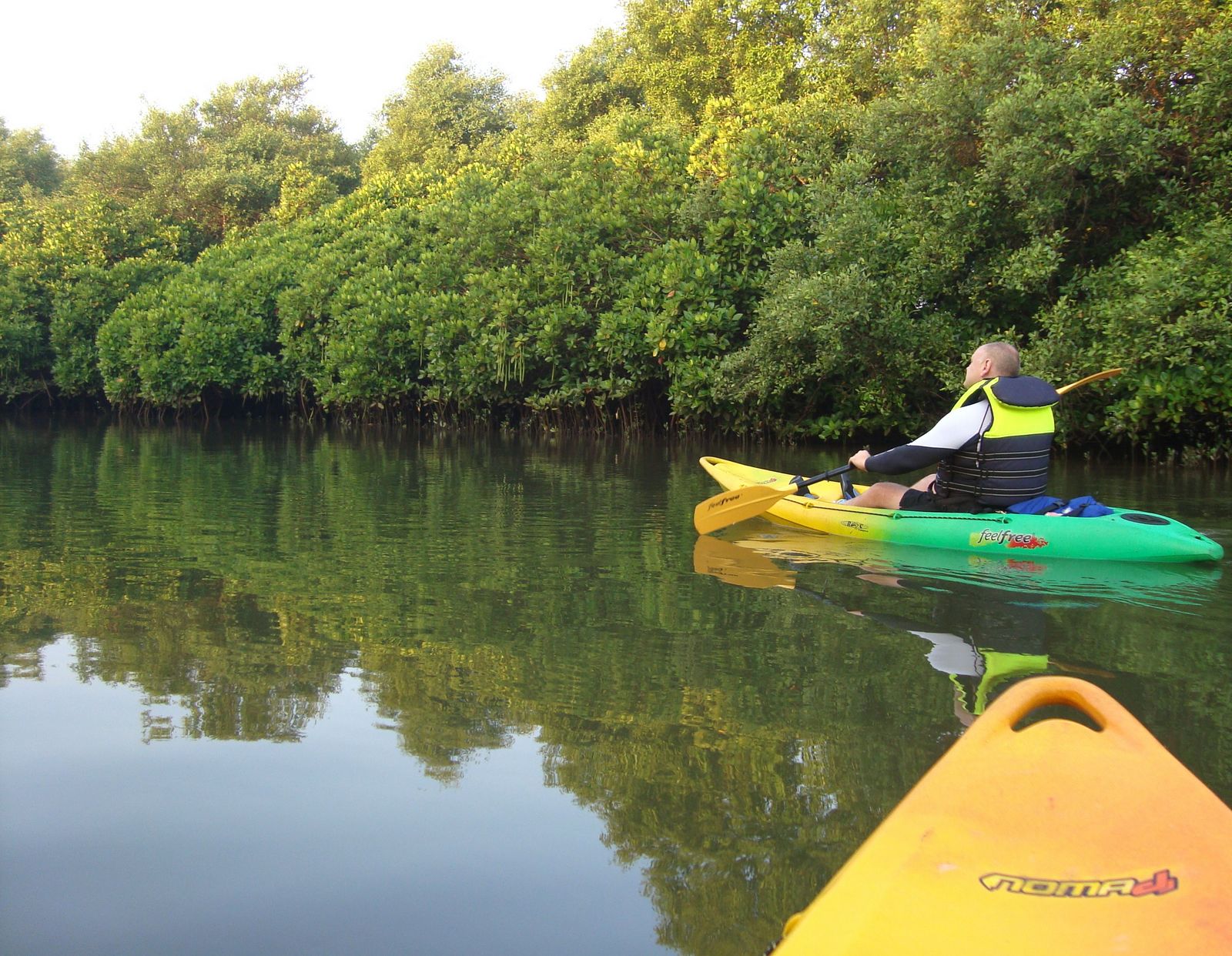 Palolem Kayaking: Kayaking in the Nerul, Zuari and Sal Backwaters and more!