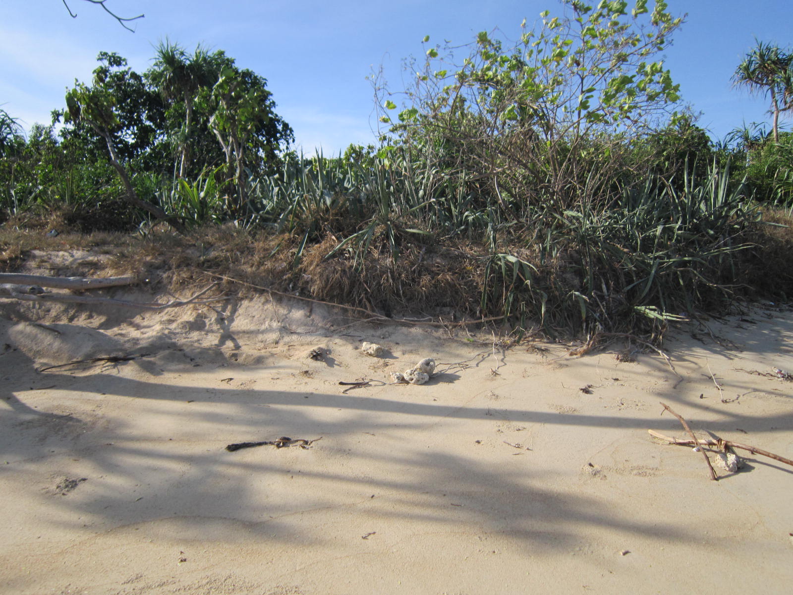 It's So Much Fun in Infanta: BALAKI ISLAND REVISIT