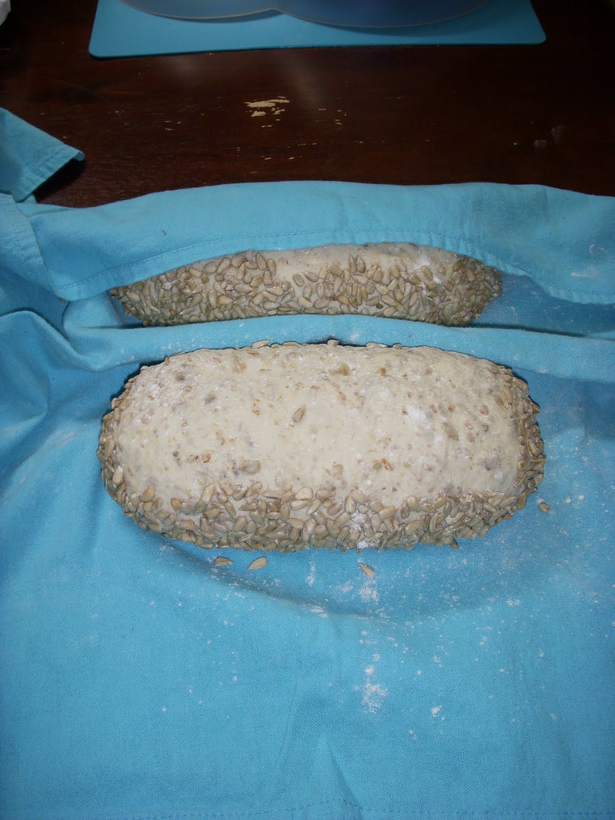 The Baritone Bread Log: Bread Log 6: Sonnenblumenbrot