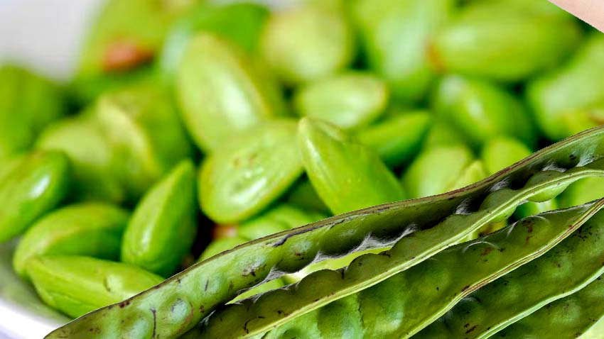 Manfaat Tak Terduga Petai Untuk Kesehatan dan Kecantikan | Manfaat Buah ...