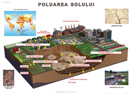 CLASA a-X-a A: Poluarea Solului