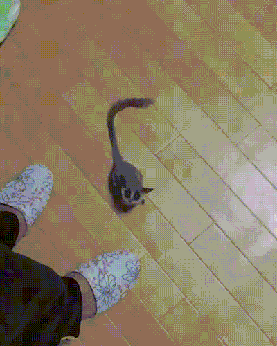 daily timewaster: Boing