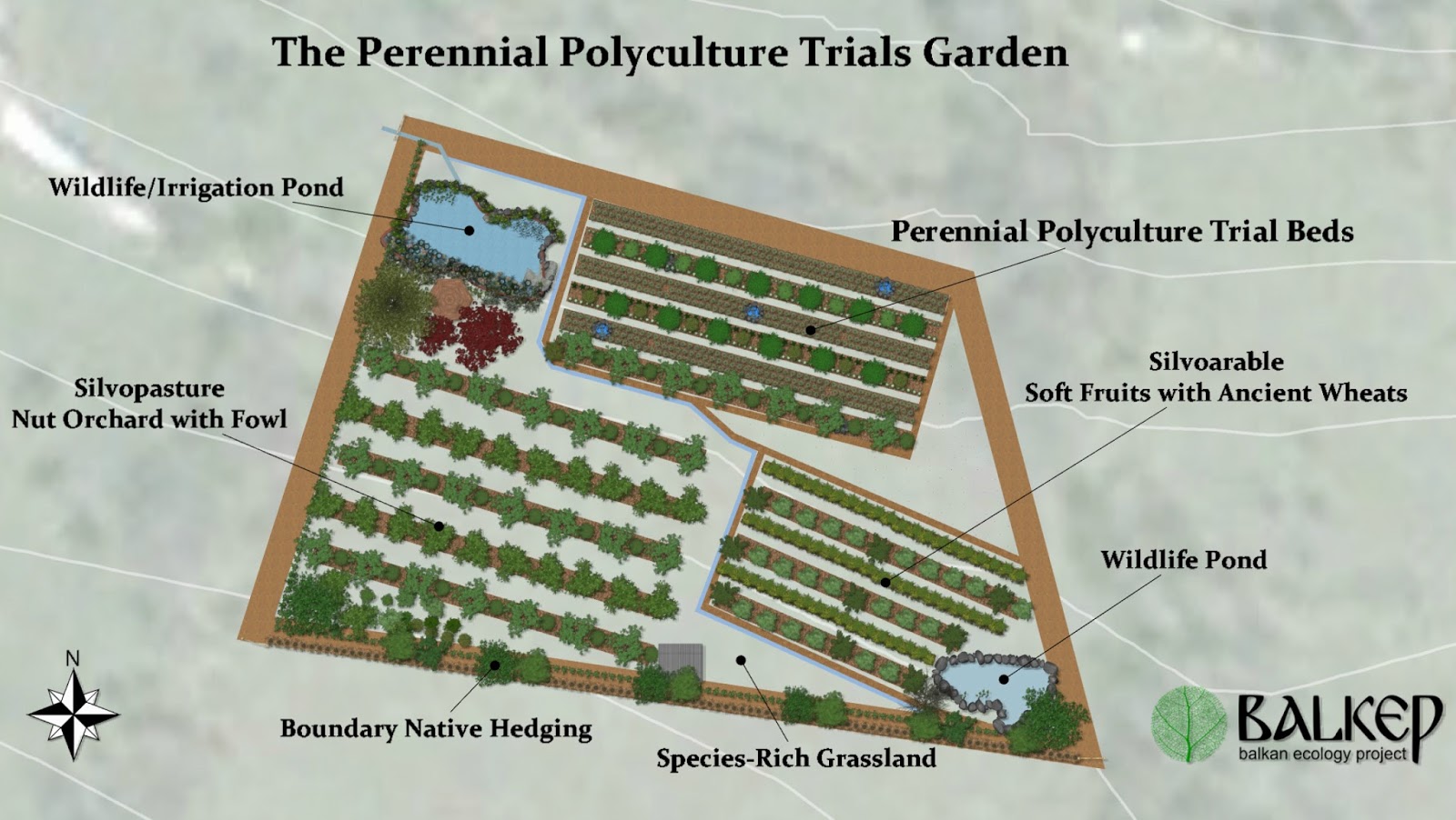 Balkan Ecology Project : The Polyculture Market Garden Study - Results ...
