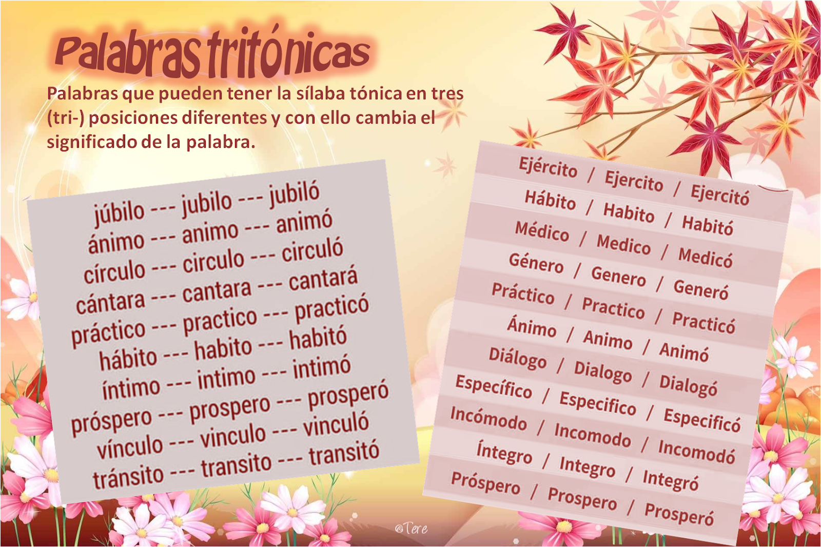 ¡Explorando la Lengua!: ¡La importancia de la tilde!