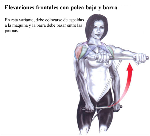 GYM: Elevaciones frontales con polea baja