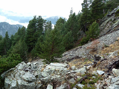 Asociacion de Cazadores Valles de Bielsa: Jornada 12 El Cosier ( 25-11-12 )