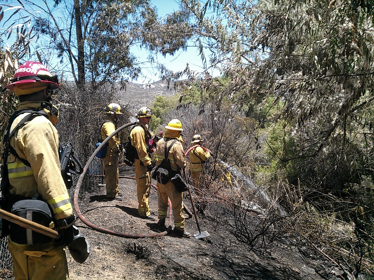 Lakeside Fire District: Multi-Agency Response Holds Fire Off Vigilante Rd