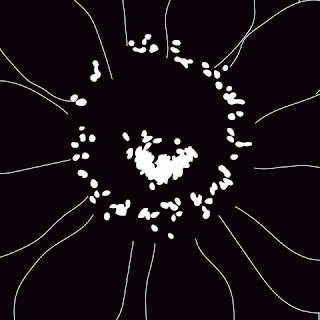 Xaviera Lopez, una artista fascinante con unos gifs ARREBATADORES