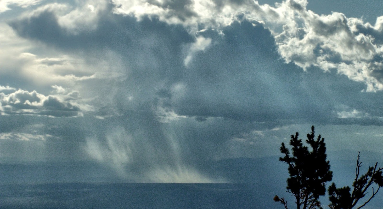 The Barthet Gallery: July 2016