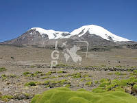 EDUPORTAL: EL “COROPUNA” ES EL QUINTO VOLCÁN ACTIVO MÁS PELIGROSO DEL PERÚ