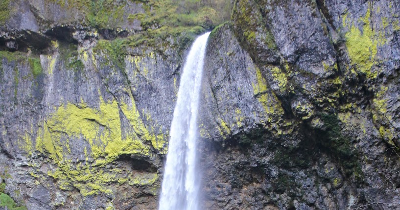 Gorge Waterfalls 100k 2016: There and Back Again