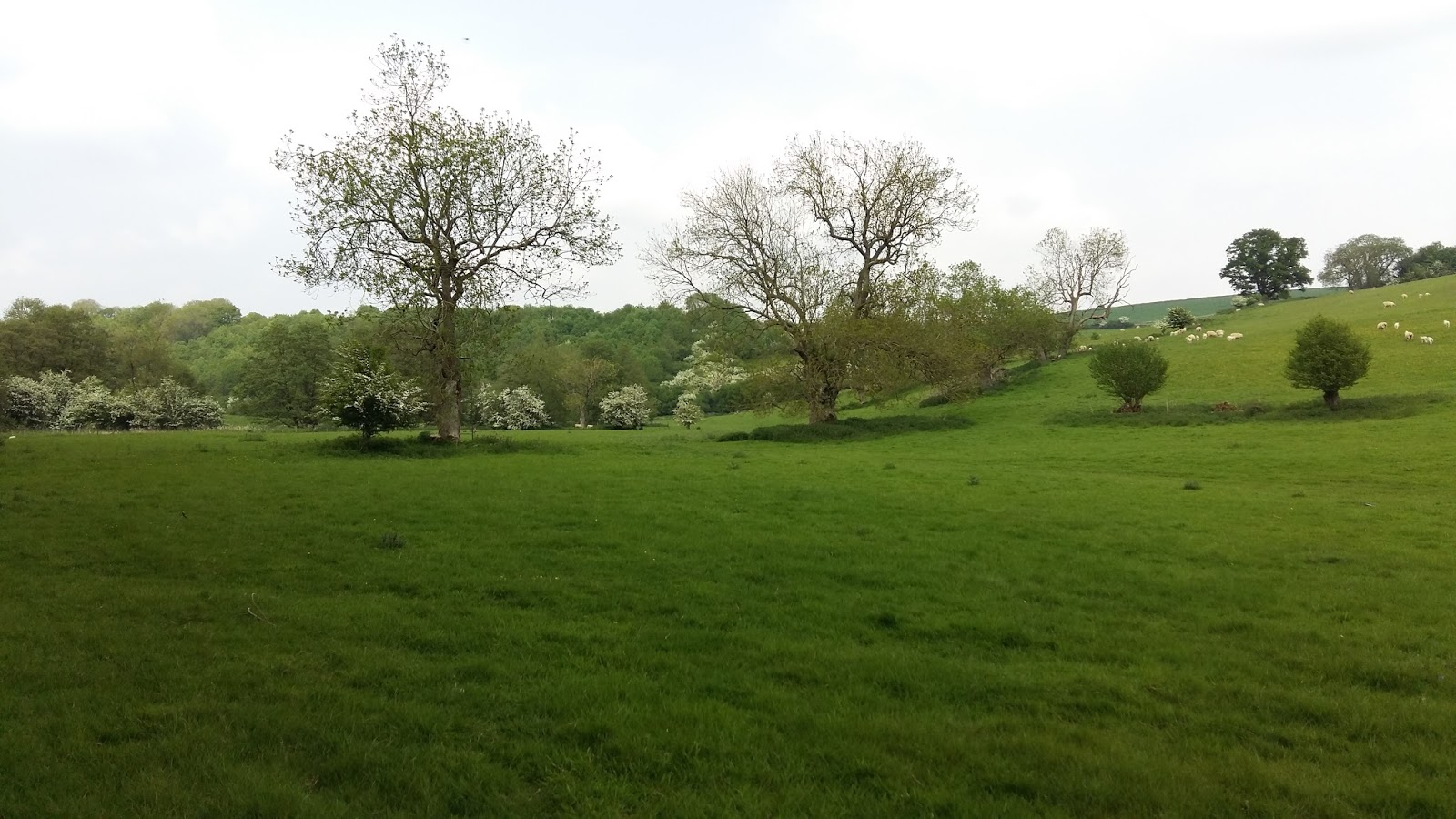 Cotswolds Travel: Shipton Oliffe & Withington Circular