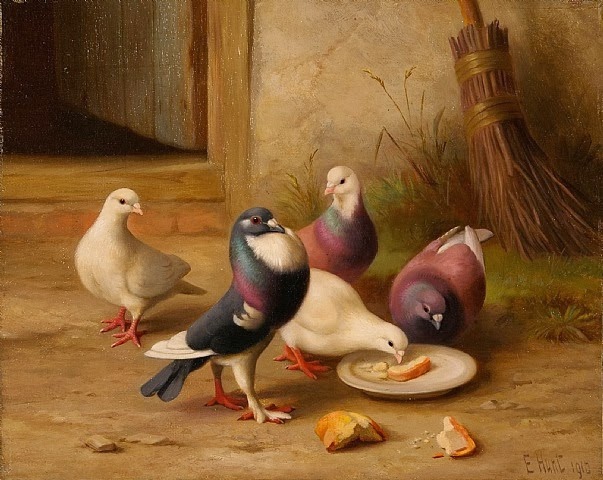 British Art: Pigeons - Edgar Hunt