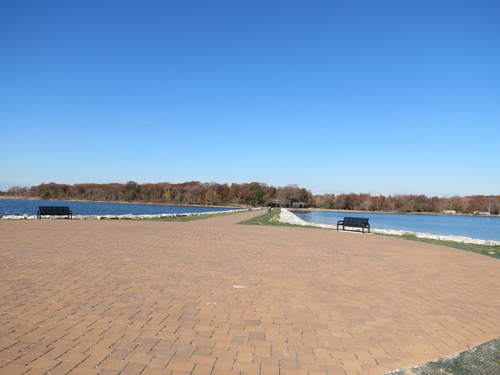 Viewing nature with Eileen: North Point State Park