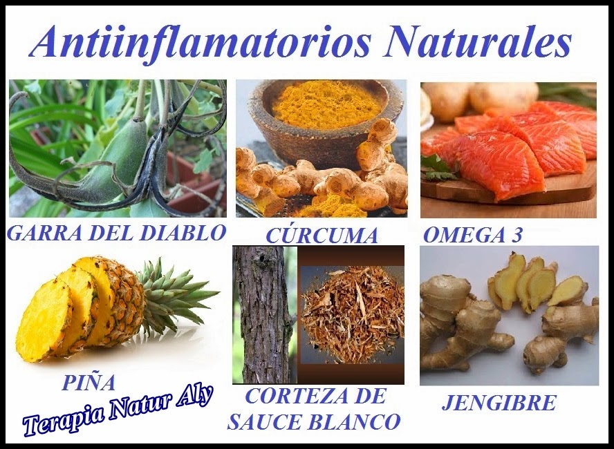 Terapia Natur Aly: Aliviar el dolor con antiinflamatorios naturales