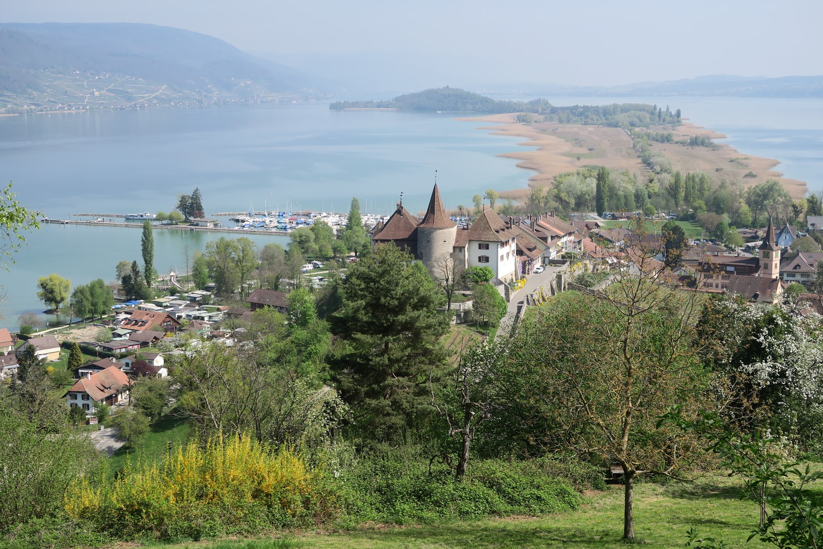 Schwarze Pfoten: Teufelsburdi - Jolimont - Erlach