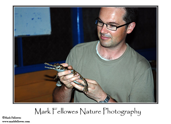 Stuart.: Mark Fellows. Close-up Macro Photographer.