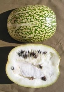 Plantas Medicinales y árboles para la vida de posible cultivo en ...