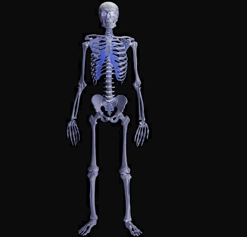 What To Do For Strong Bones