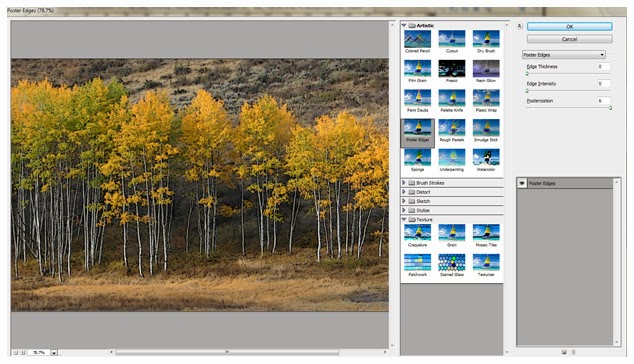 Images-byRamona: Using Poster Edges for Definition