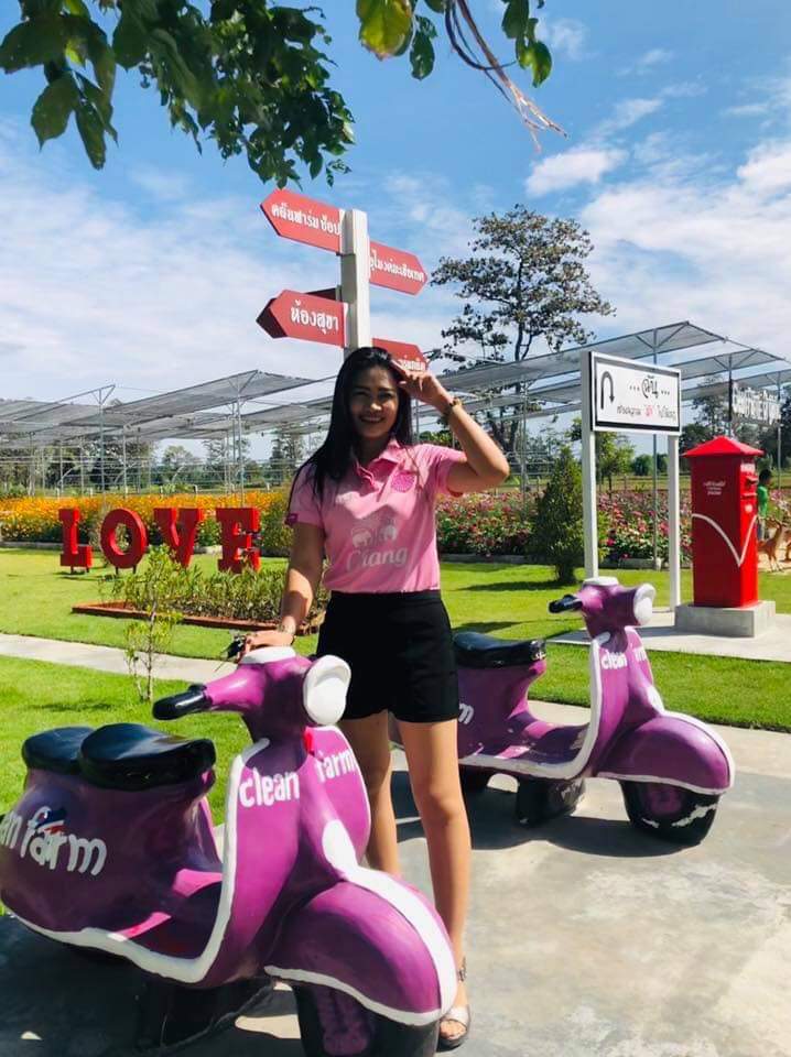 Like Buriram: ท่องเที่ยวช่วงเทศกาลแห่งความสุขที่บุรีรัมย์สวนไม้ดอกและบรรยากาศธรรมชาติ