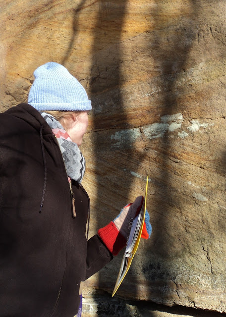 Aerial Geologist: Old Rocks, Cold Rocks: Mid-winter Outcrop of the Mt ...