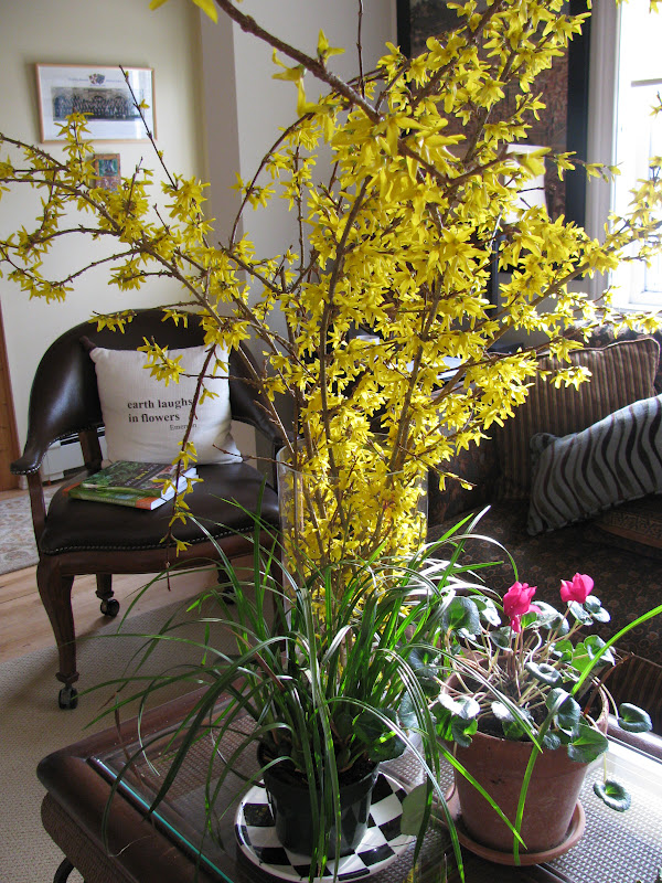 Gardeningbren in Nova Scotia: Earth Laughs in Flowers and Books