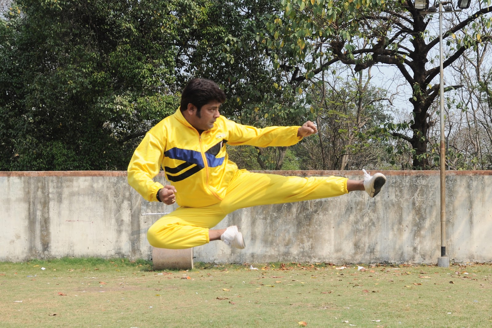 World Bujutsu Council_World Budokan Council - W.B.C.