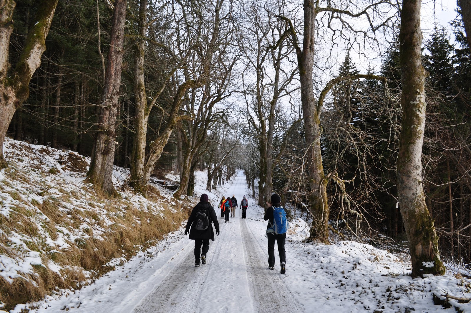 The Aberdeen Wife: Walking in a Winter Wonderland