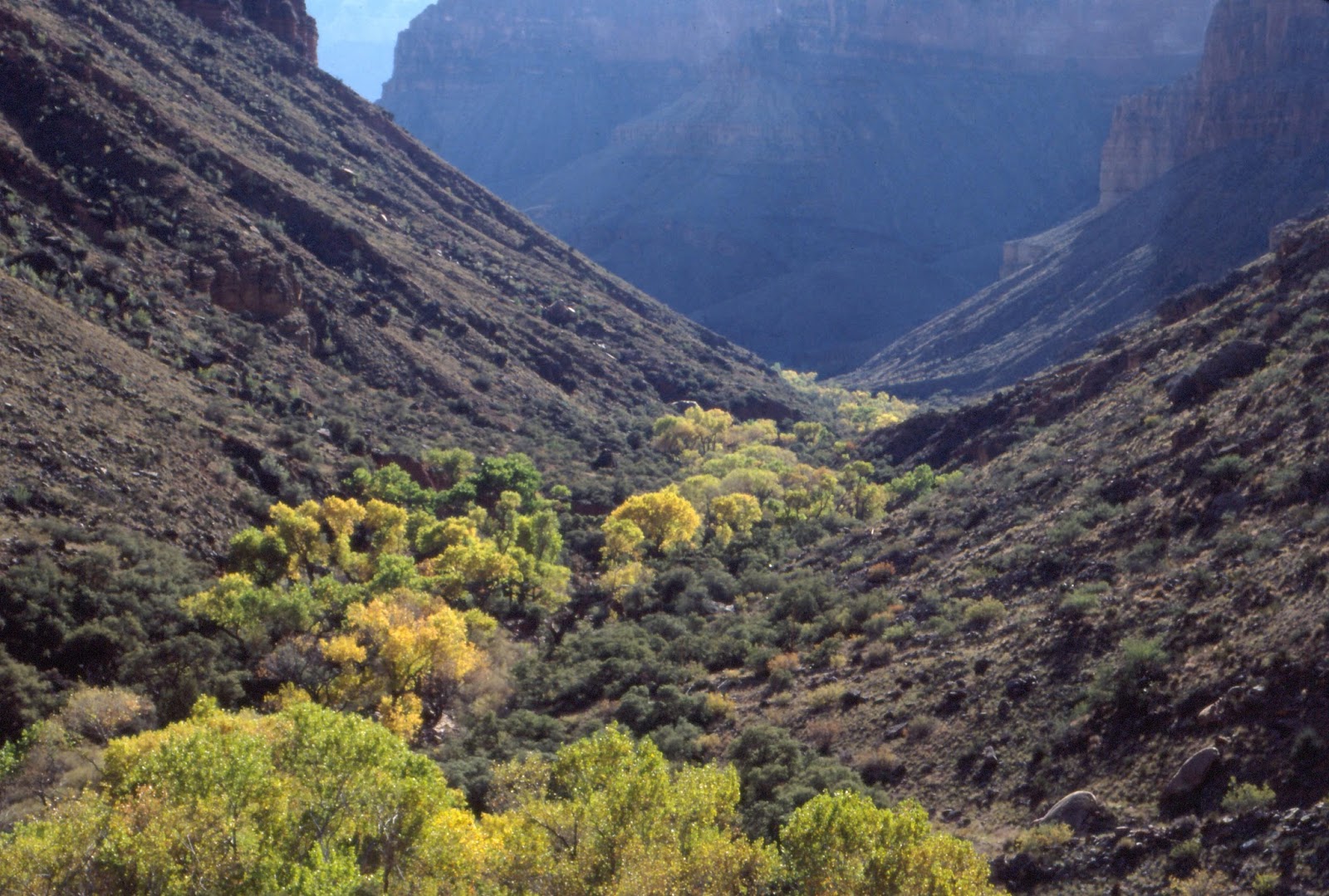 American Idyll: Punctuating A Somber Landscape