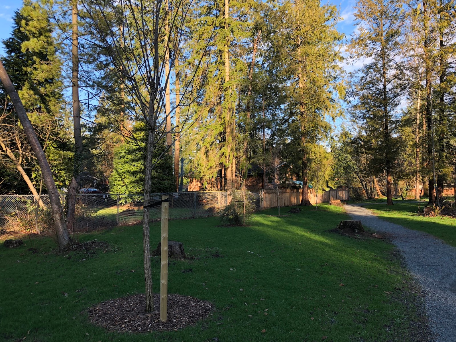 The South Fraser Blog: Newly restored Hunter Park in Picture