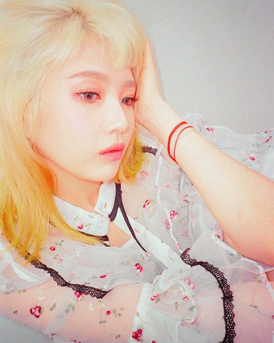 Korean Angel's: Joy RV