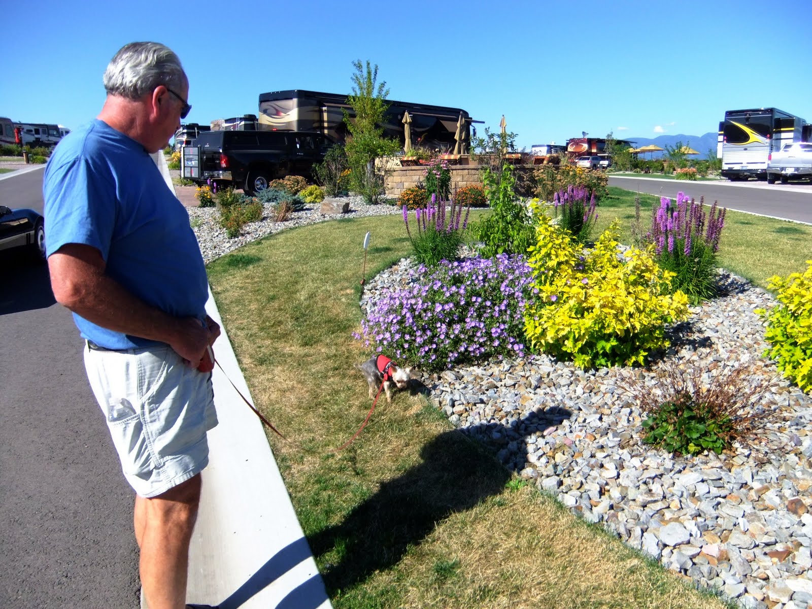 TanksPanky: FTJ, Entry 110: Magnificent Montana