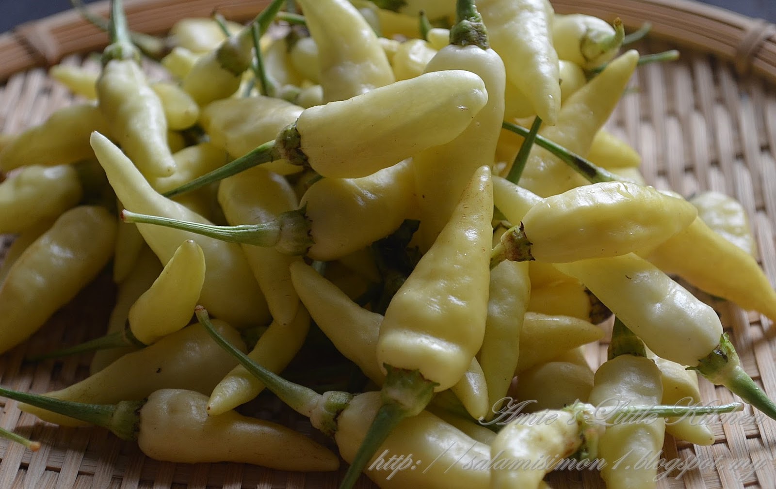 Siapa Yang Makan Cili, Dia Akan Terasa Pedasnya: Cili Oh! Cili Padi ...