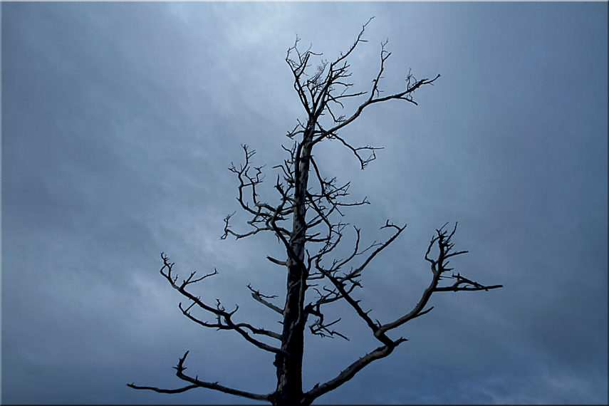 Pretty Pix: Dramatic Stance