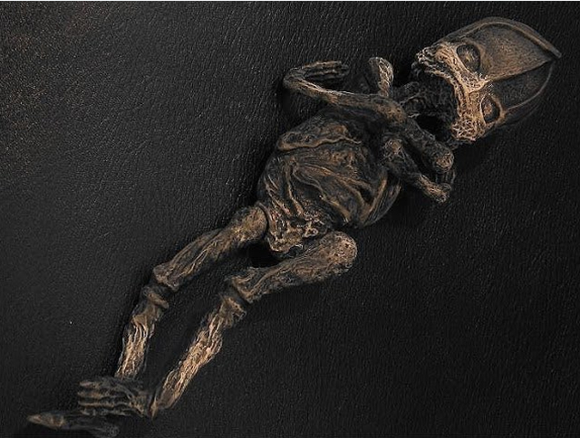 Retoman el caso del extraterrestre momificado en Rusia - Apkallu Misterios