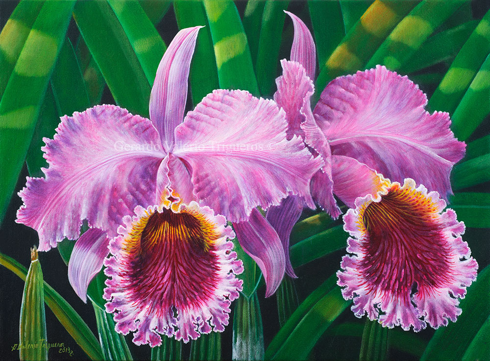 Pintores Costarricenses: Gerardo Valerio Trigueros