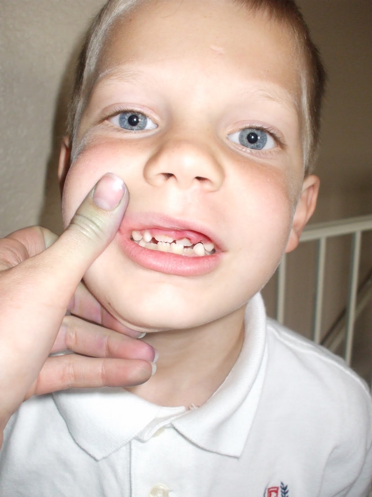 Williams Family: Shark Boy!