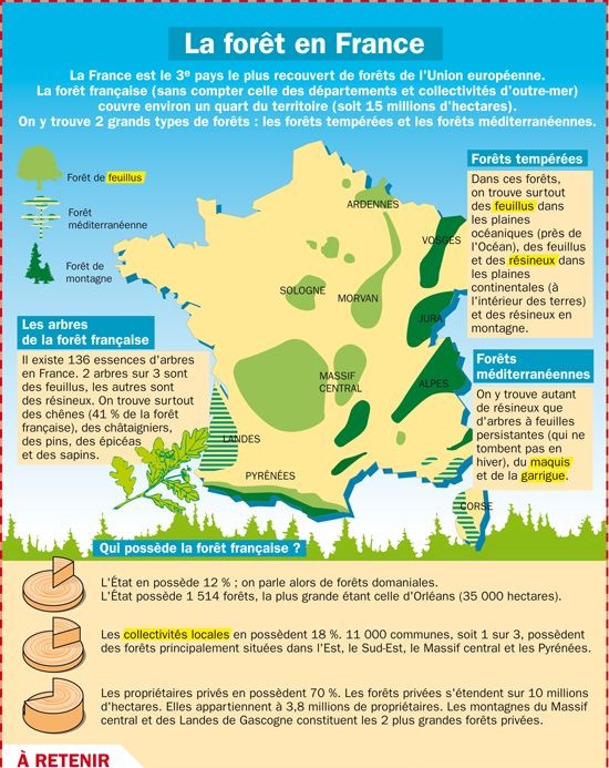 Le Forêt en France