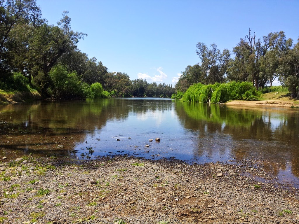 Wandering Time: Ponto Falls Reserve, Wellington