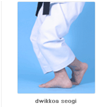 Kuda-kuda pada Taekwondo ~ Putra's Blog