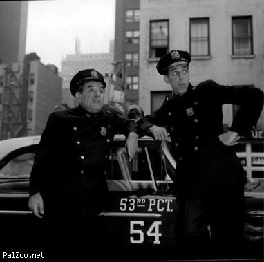 in so many words...: Fifty Years Ago Today: CAR 54, WHERE ARE YOU?