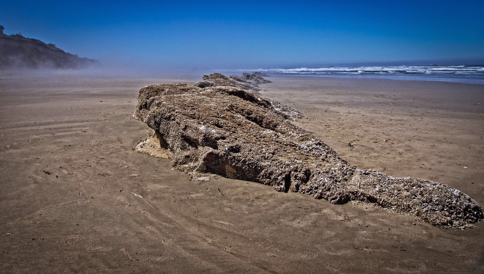 Thom Zehrfeld Photography : Brian Booth State Park | Ona Beach